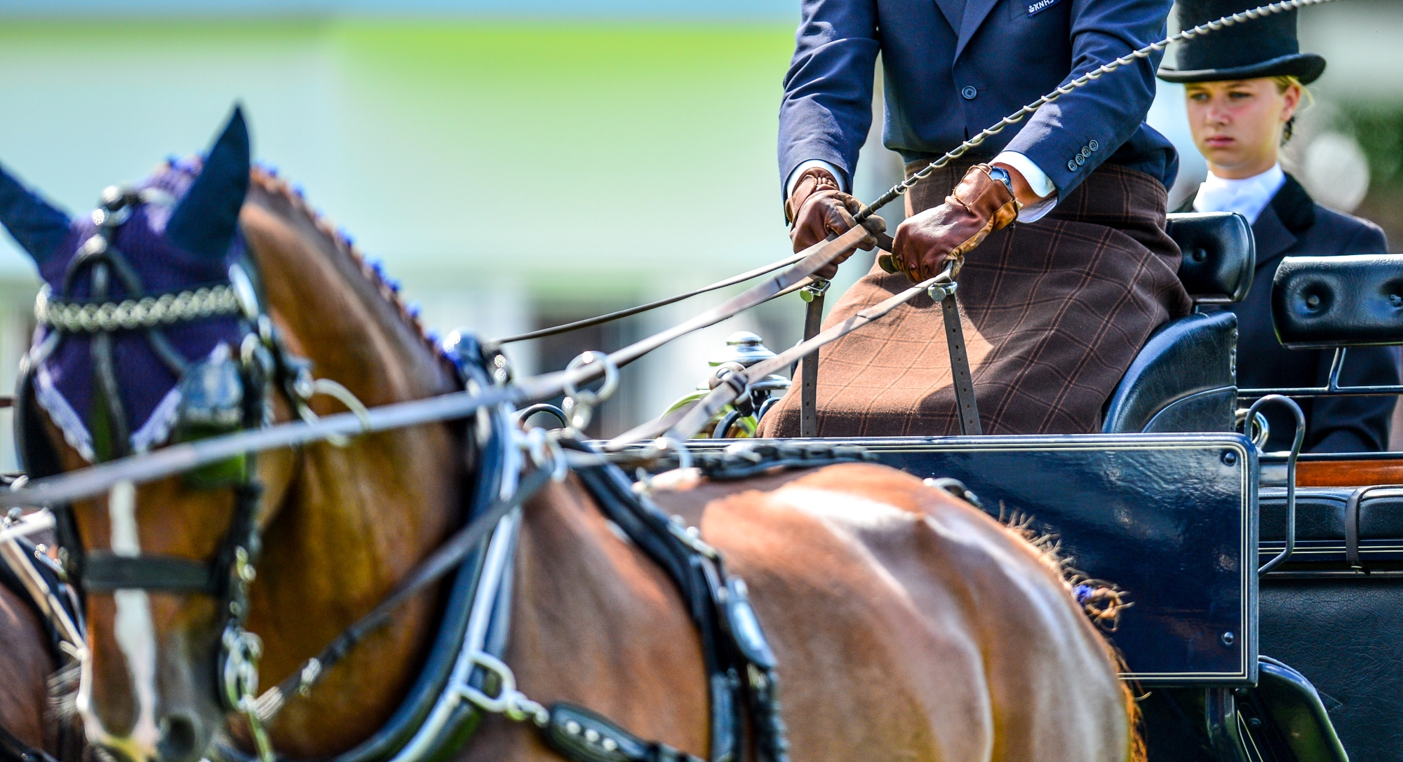 Event Weirsdale, FL Standard Show | FEI.org