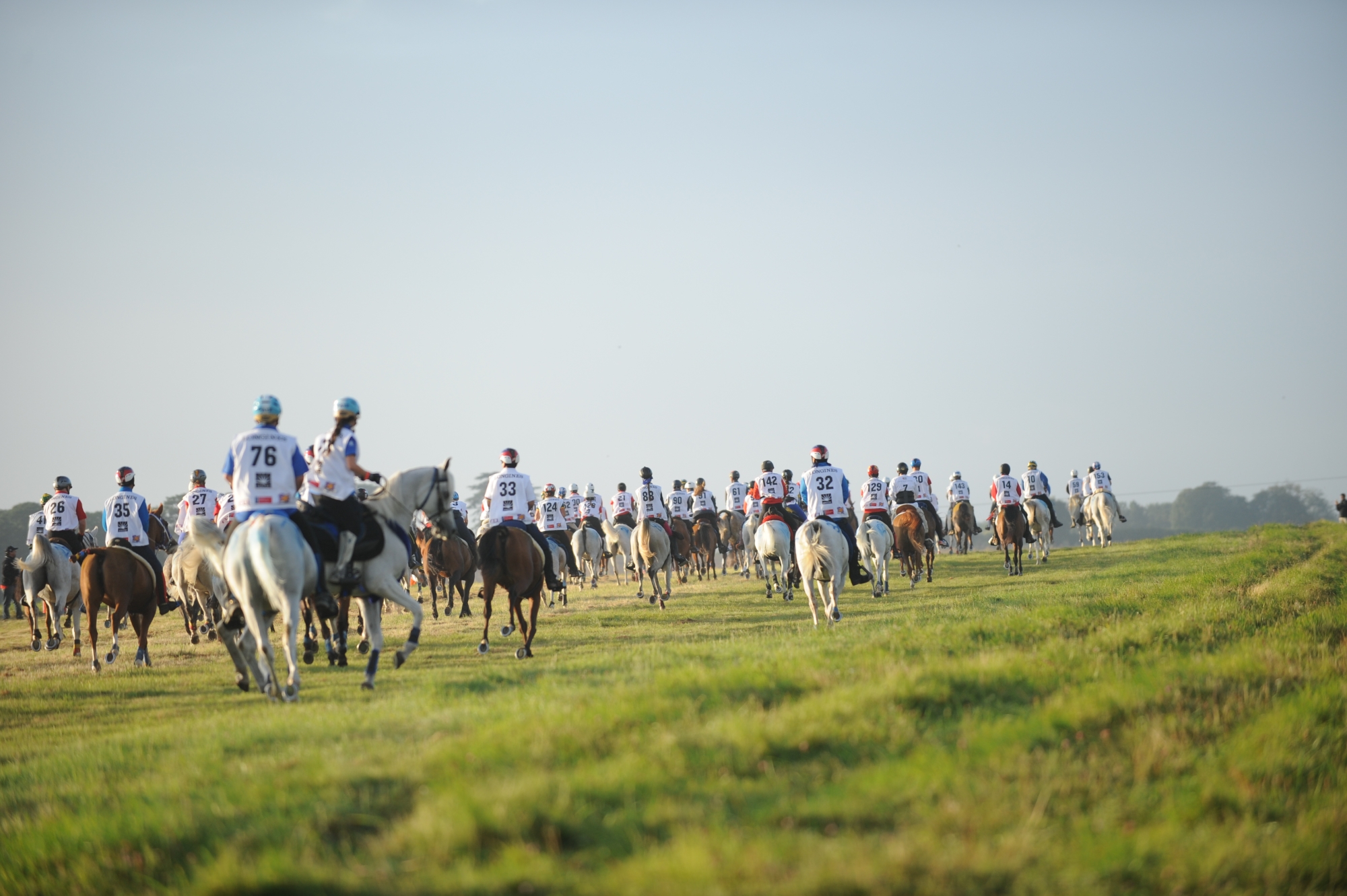 Event Punta del Este Standard Show | FEI.org
