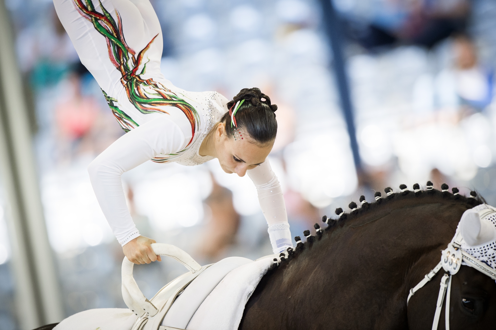 Event São Paulo SP Standard Show | FEI.org